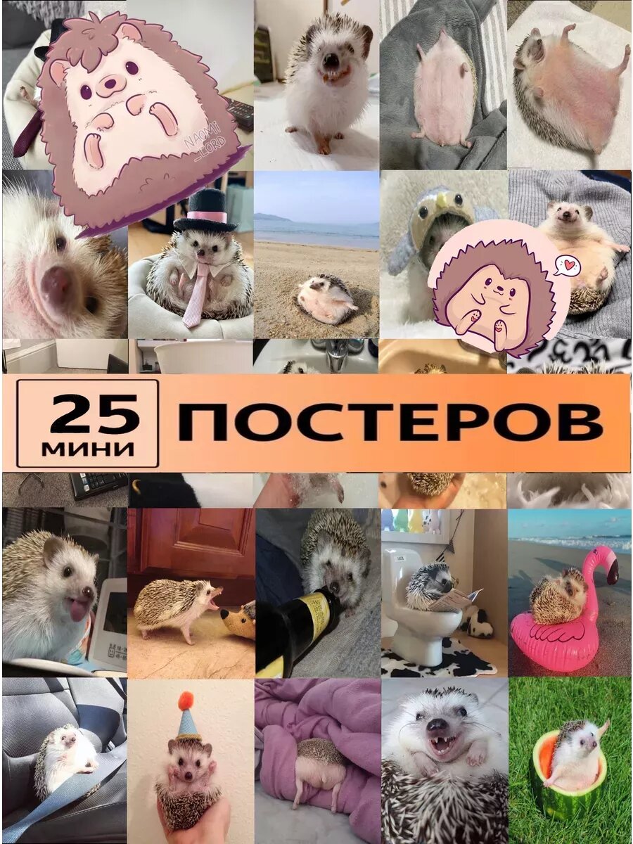 Постеры с ежами