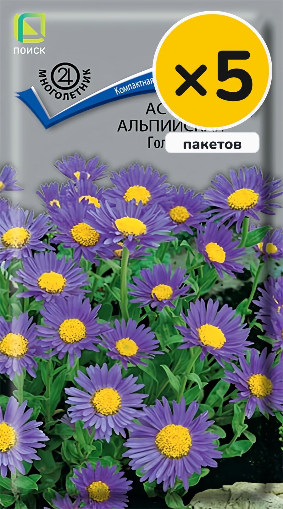 Семена астры альпийской Голубая, 0,04 г, 5 пакетов, Поиск, многолетник, высота до 30 см, посев на рассаду в апреле