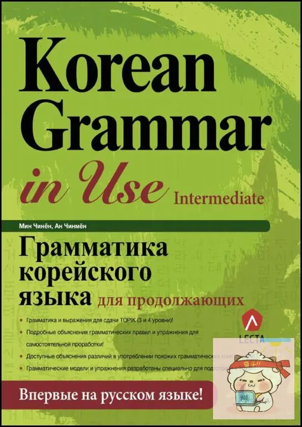 Korean Grammar in Use Intermediate Грамматика корейского языка для продолжающих TOPIK II подготовка книга