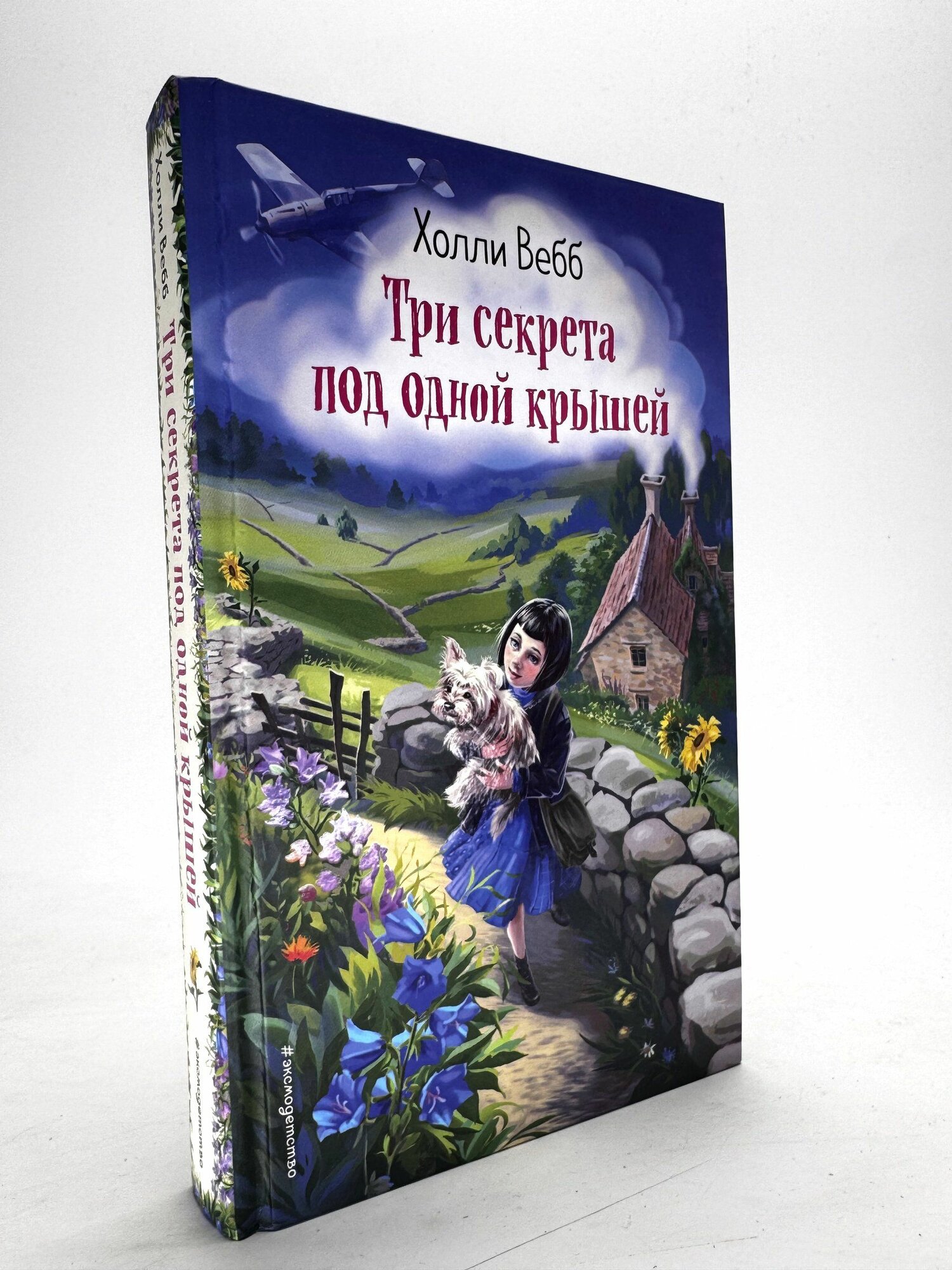Книга «Три секрета под одной крышей», Холли Вебб, Твердый переплет