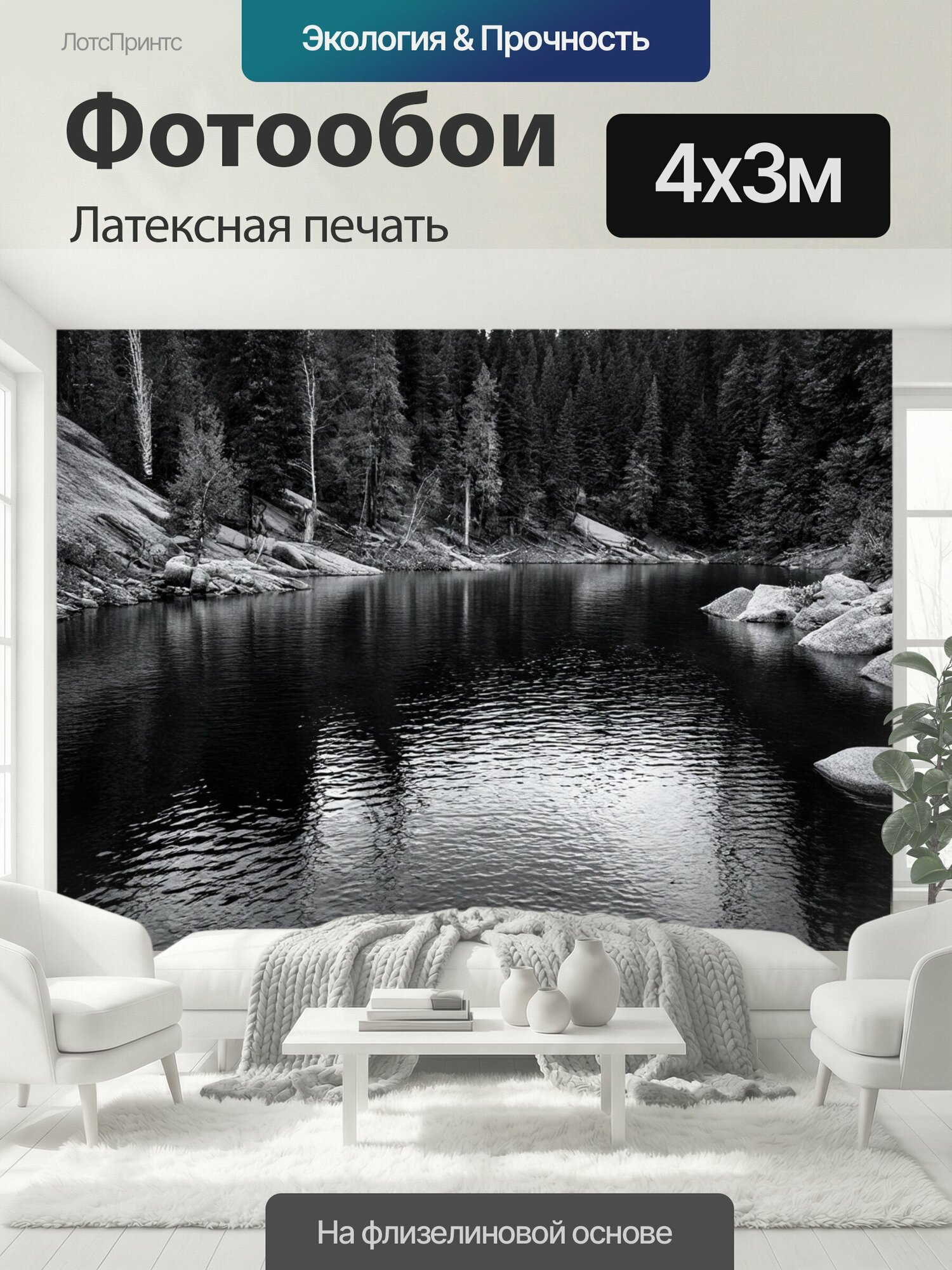Фотообои моющиеся ударопрочные "Озеро в черно-белом стиле, шумный поток, впадающий в озеро" 400x300 см. латексная печать