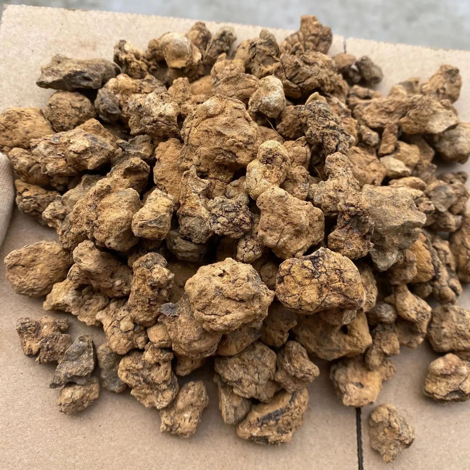 1000G Кения SERICHO железо метеорит Фрагмент