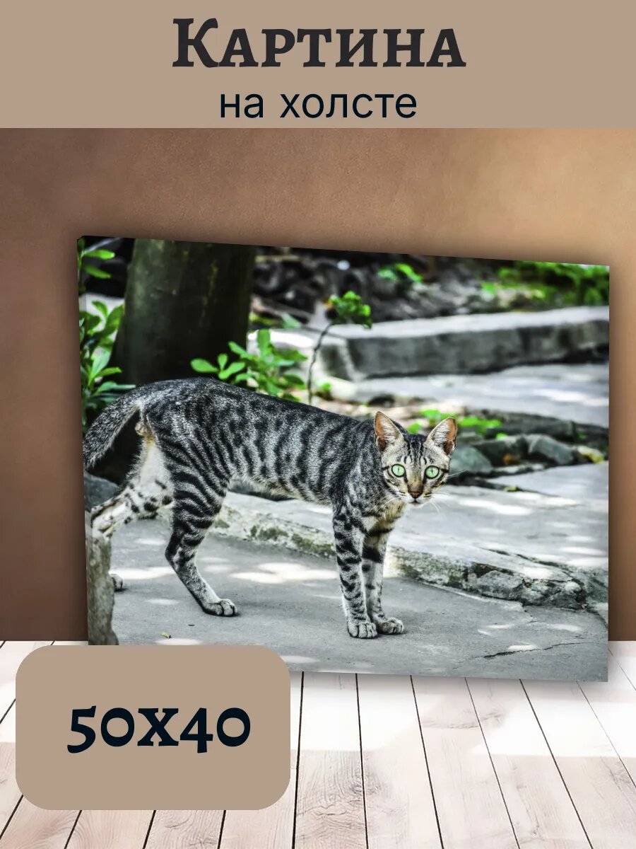 Картина Кот Кошка Cat 40x50 полосатая серая с зелеными