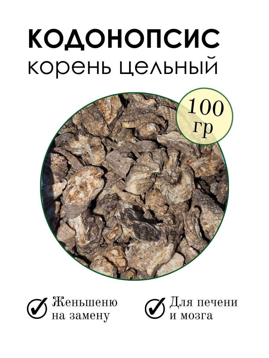 Кодонопсис ланцетный корень цельный "Фито-Аптекарь" для общего укрепления, 100 г