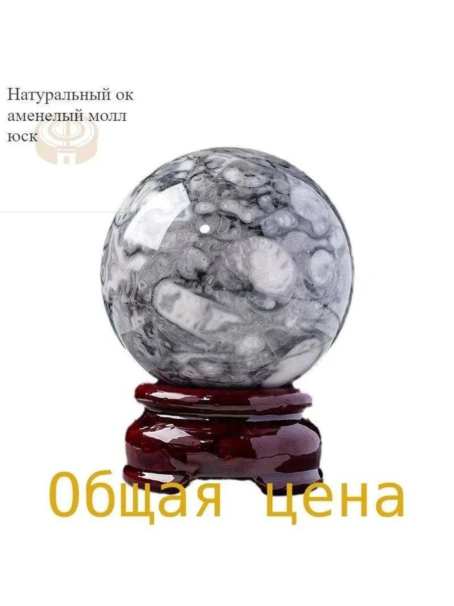Натуральный окаменелый моллюск в ракушечнике 4-5 см: полированный шар с ископаемыми, палеонтологический декор