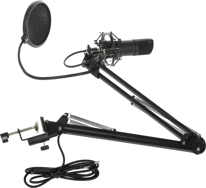 Микрофон Ritmix RDM-180, черный