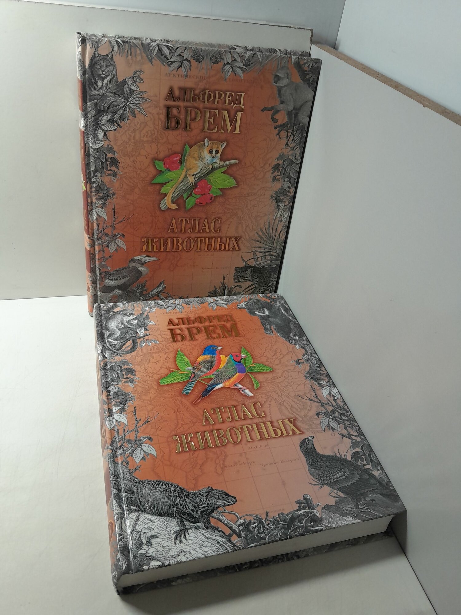 Атлас животных (комплект из 2 книг) / Брэм Альфред Эдмунд