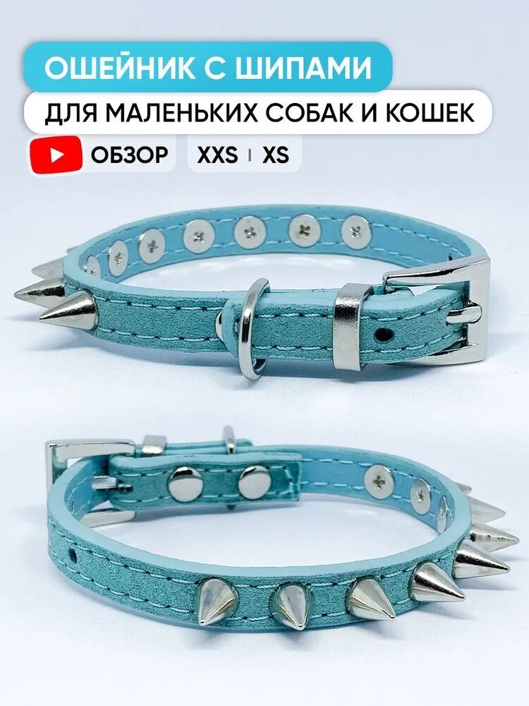 Бирюзовый ошейник с шипами для собак мелких пород и кошек, XXS / 17см - 22см