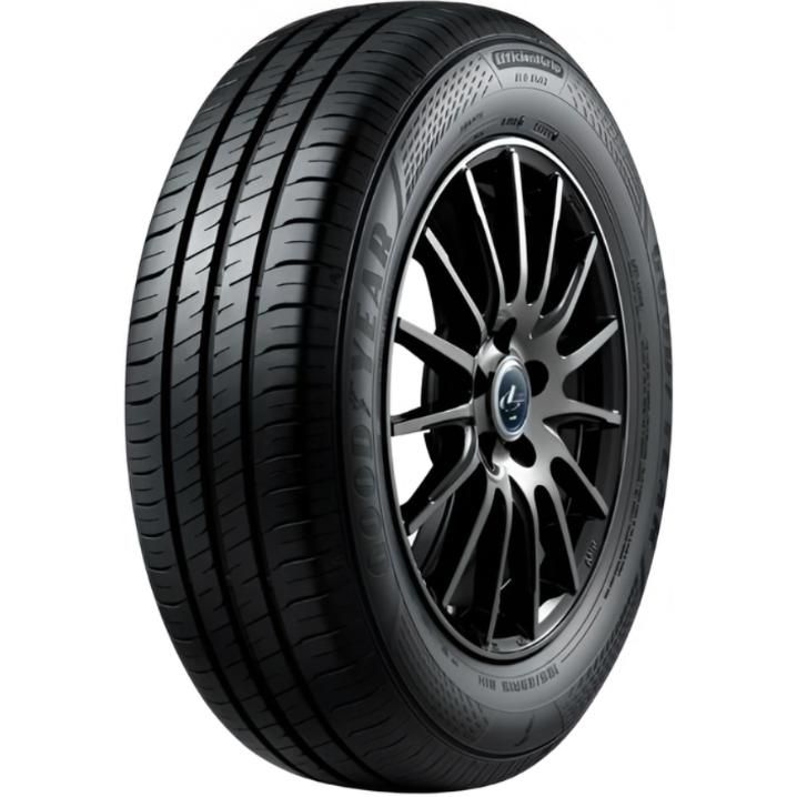 Летняя шина Goodyear EfficientGrip Eco EG02 205/55 R16 91V