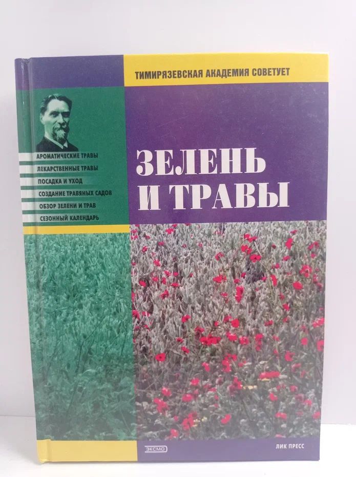 Зелень и травы