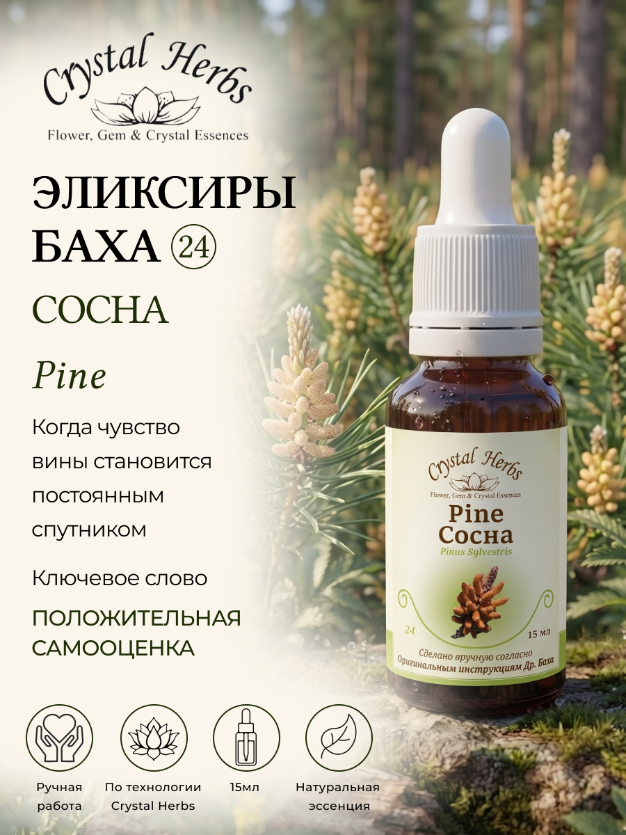 Сосна (Pine) - 15мл - Цветочный Эликсир Баха №24 - безалкогольный