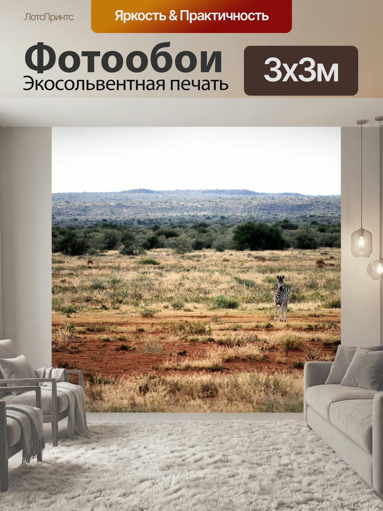 Фотообои "Зебра, вельд, красный" 300x300 см. экосольвентная печать