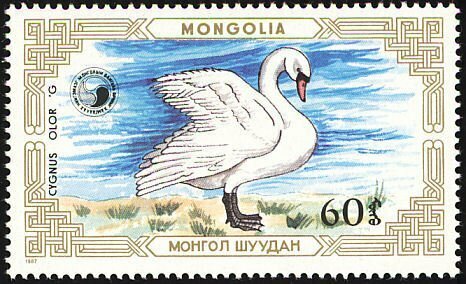 (1987-038) Марка Монголия "Лебедь-шипун" Лебеди III O