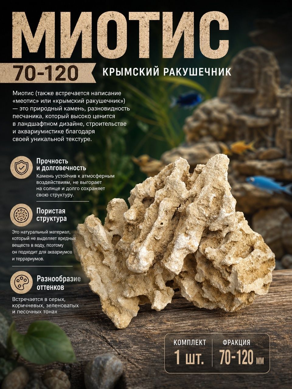 Миотис крымский ракушечник фр. 70-120 мм, 1 шт