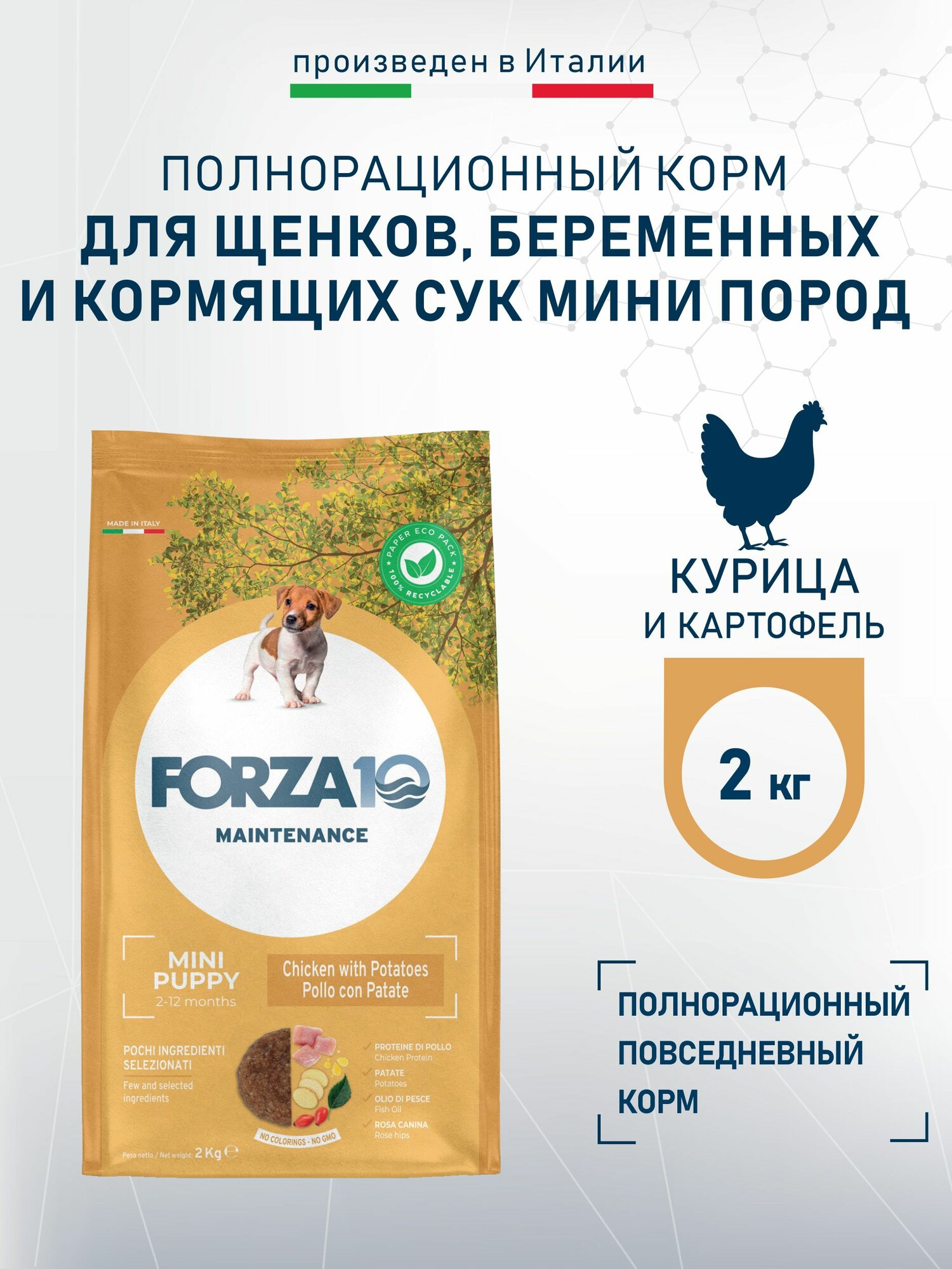 Корм сухой Forza10 "Maintenance", для щенков средних и крупных пород с 2,5 месяцев, для собак в период беременности и лактации, с курицей и картофелем, 2 кг