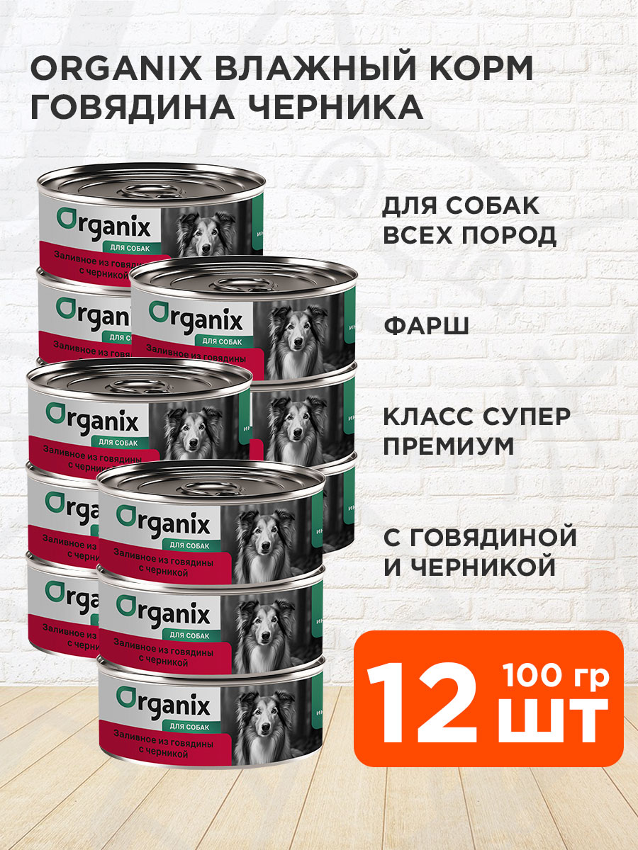 Корм влажный Organix для взрослых собак заливное, говядина, черника, 100 г 12 шт