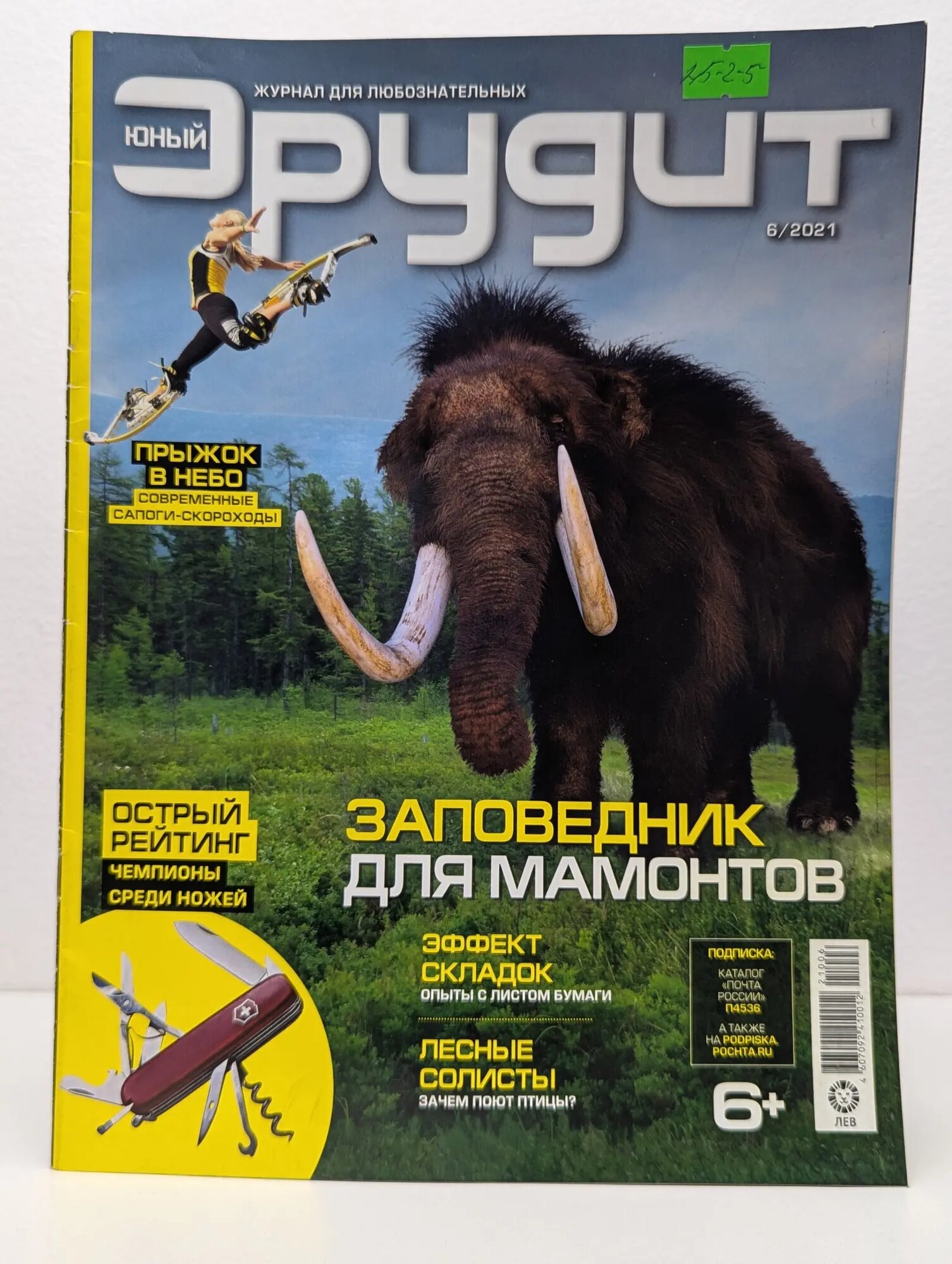 Юный эрудит. Выпуск № 6/2021 Сборник 2021