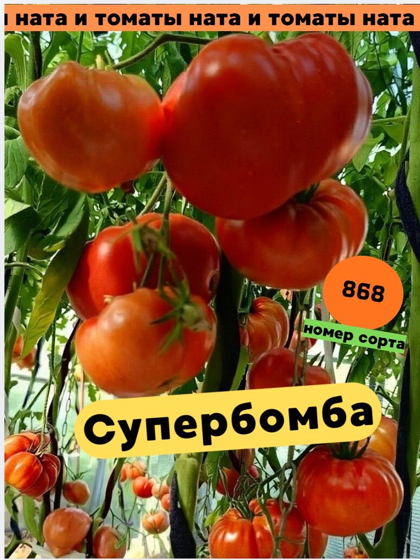 Коллекционные семена томата Супер Бомбический 10 шт