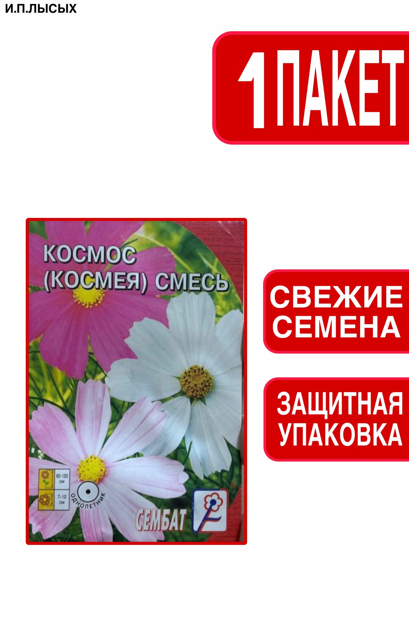Семена Космея