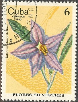 ( 2518-2523) Набор марок Куба 1980 год (6 марок) "Дикорастущие цветы", Гашеный