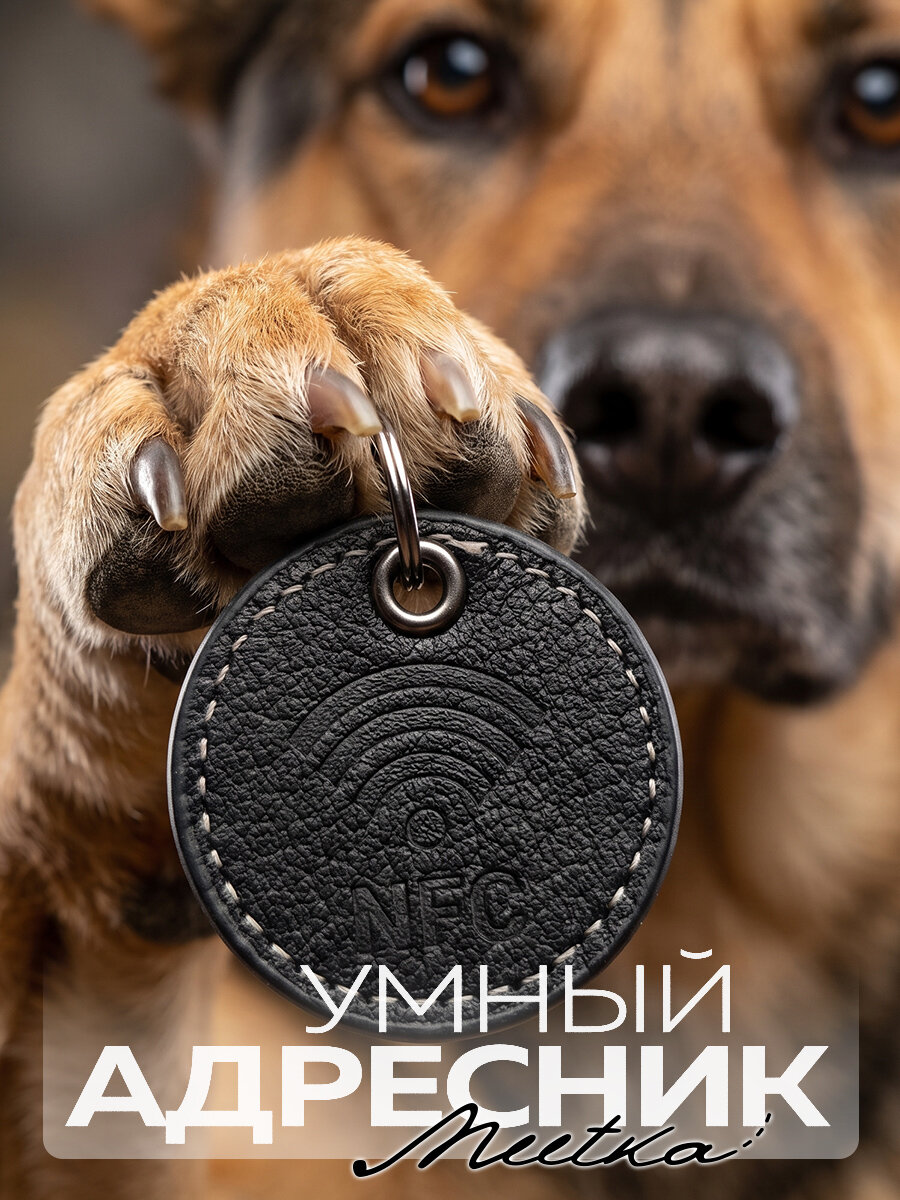 Meetka премиальный умный адресник из натуральной кожи с NFC-чипом. Надежная защита вашего питомца и стильный аксессуар. Премиум чёрный