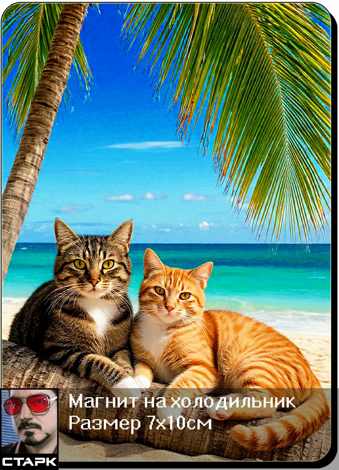 Магнит на холодильник, Кот на море