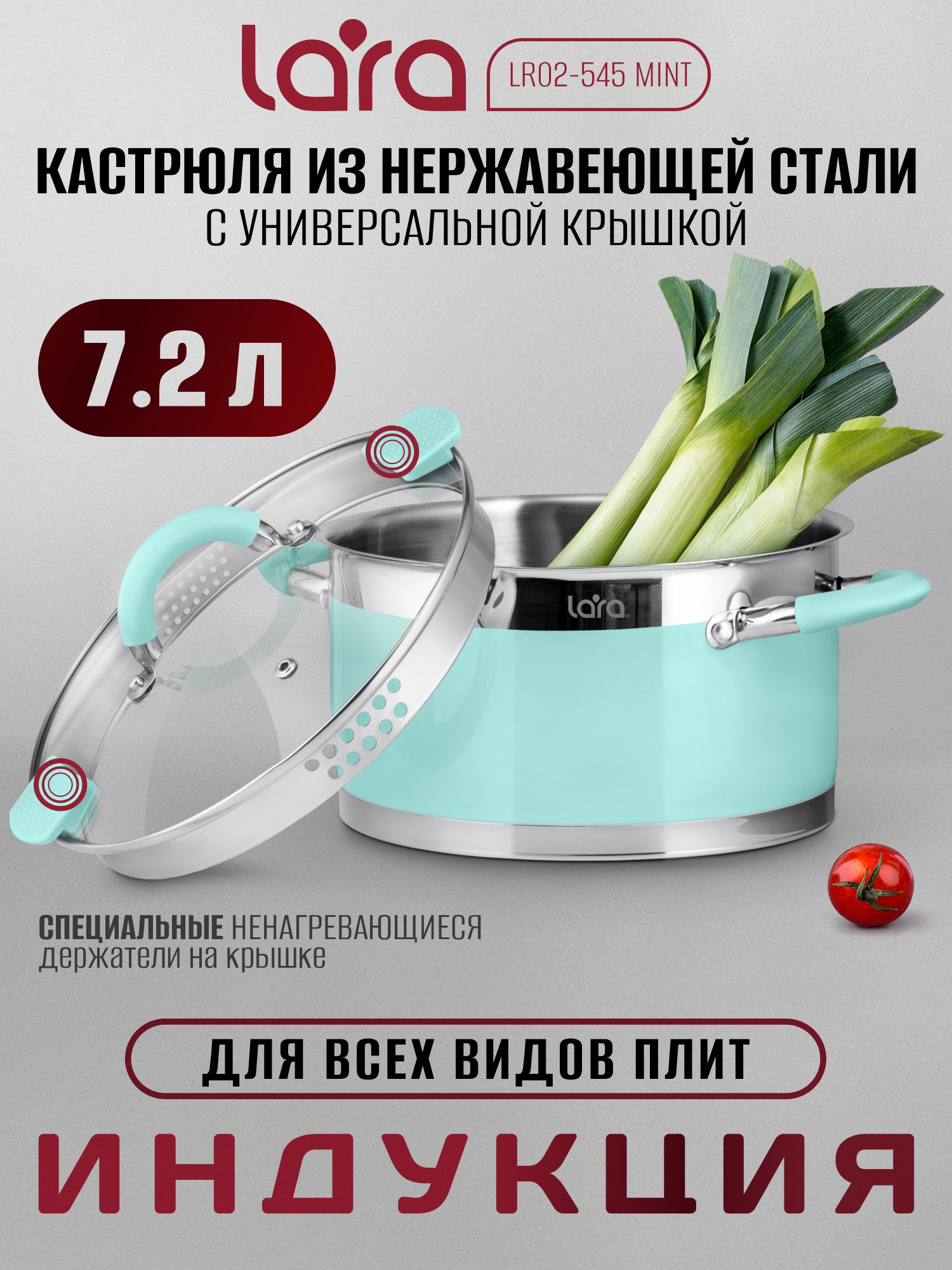 Кастрюля с крышкой 7,2 л LARA Mint из нержавеющей стали с силиконовыми ручками, для индукционных плит, со сливным носиком LR02-545