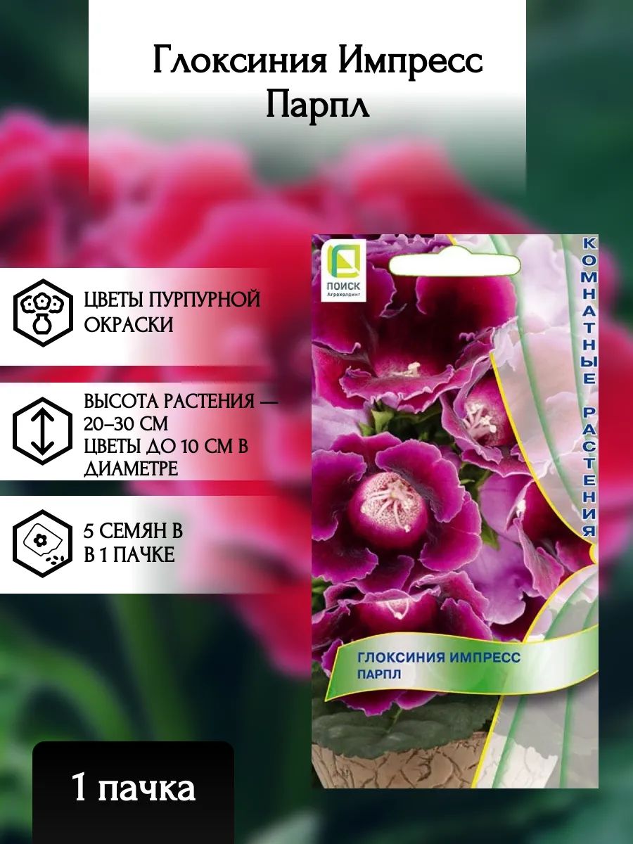 Семена, Глоксиния Импресс Парпл, 1 пачка