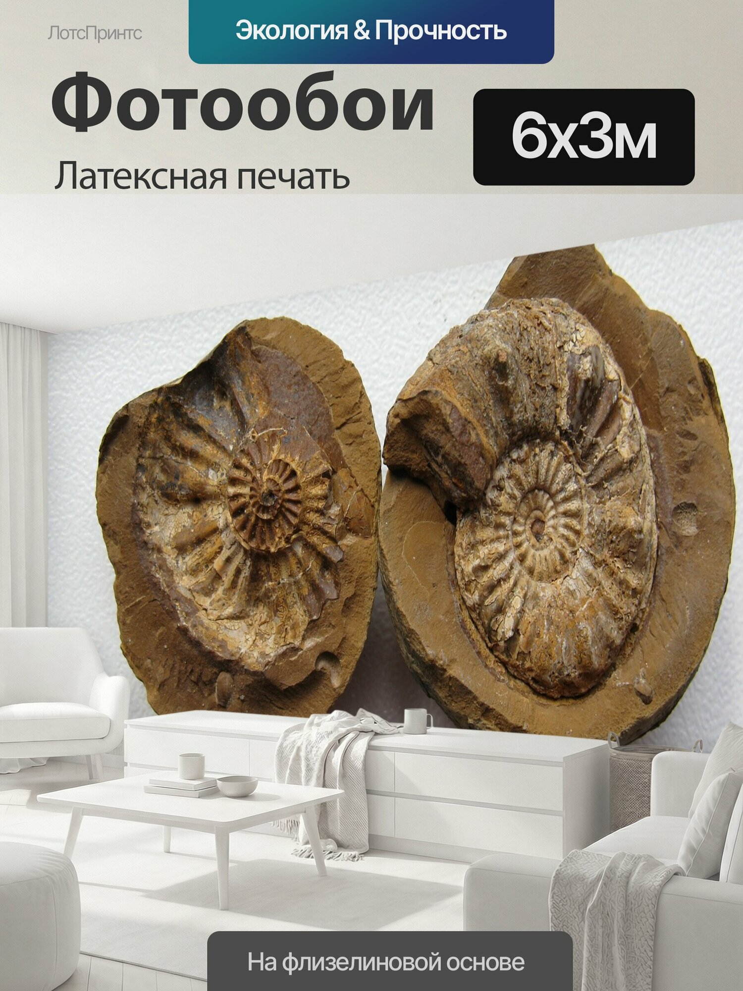 Фотообои моющиеся ударопрочные "Аммониты, окаменелости, головоногие" 600x300 см. латексная печать