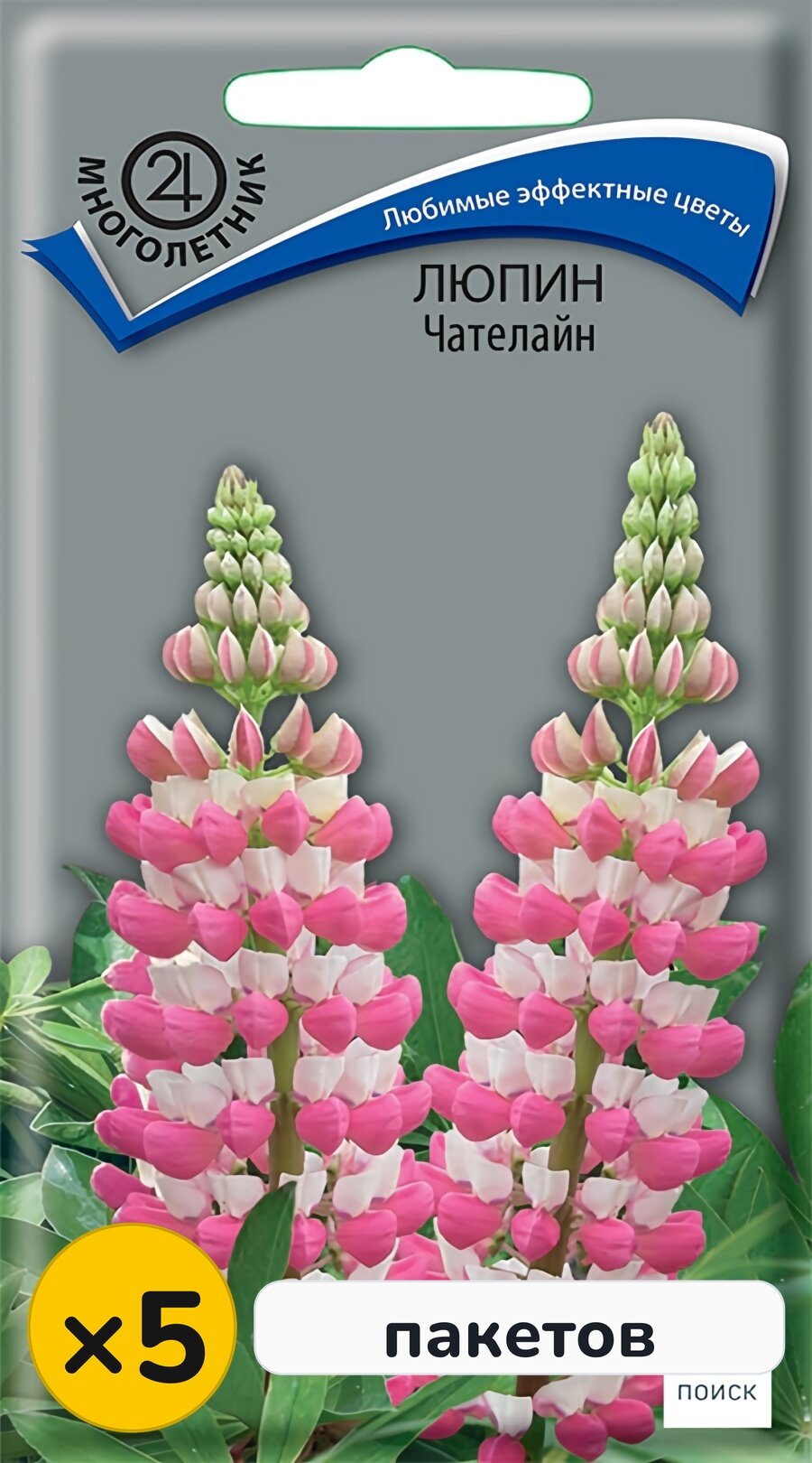 Семена люпина (декоративный) Чателайн, 1 г, 5 пакетов, поиск, многолетник, высота до 90 см, посев в грунт в апреле–мае