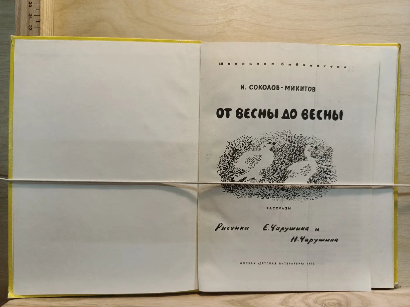 От весны до весны — фото 1