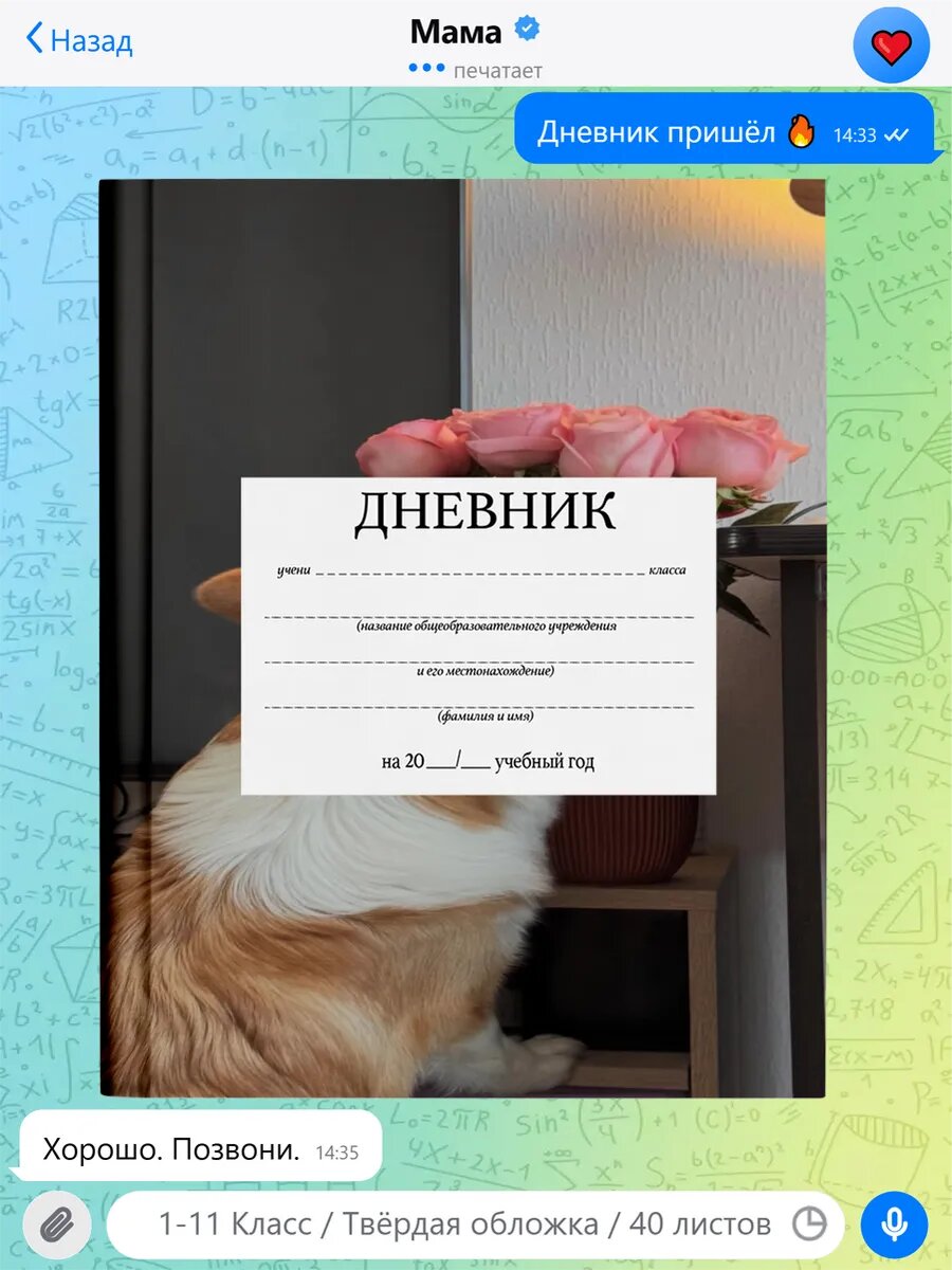 Школьный дневник с принтом Роблокс