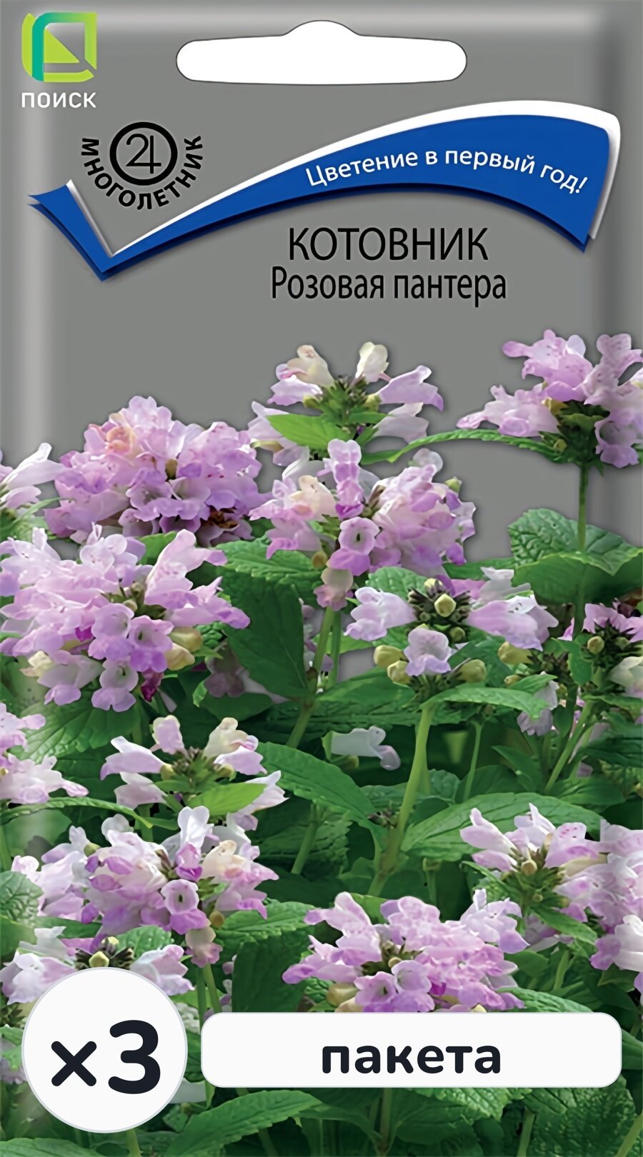 Семена котовника Розовая пантера, 10 шт, 3 пакета, поиск, многолетник, высота до 50 см, посев на рассаду в марте