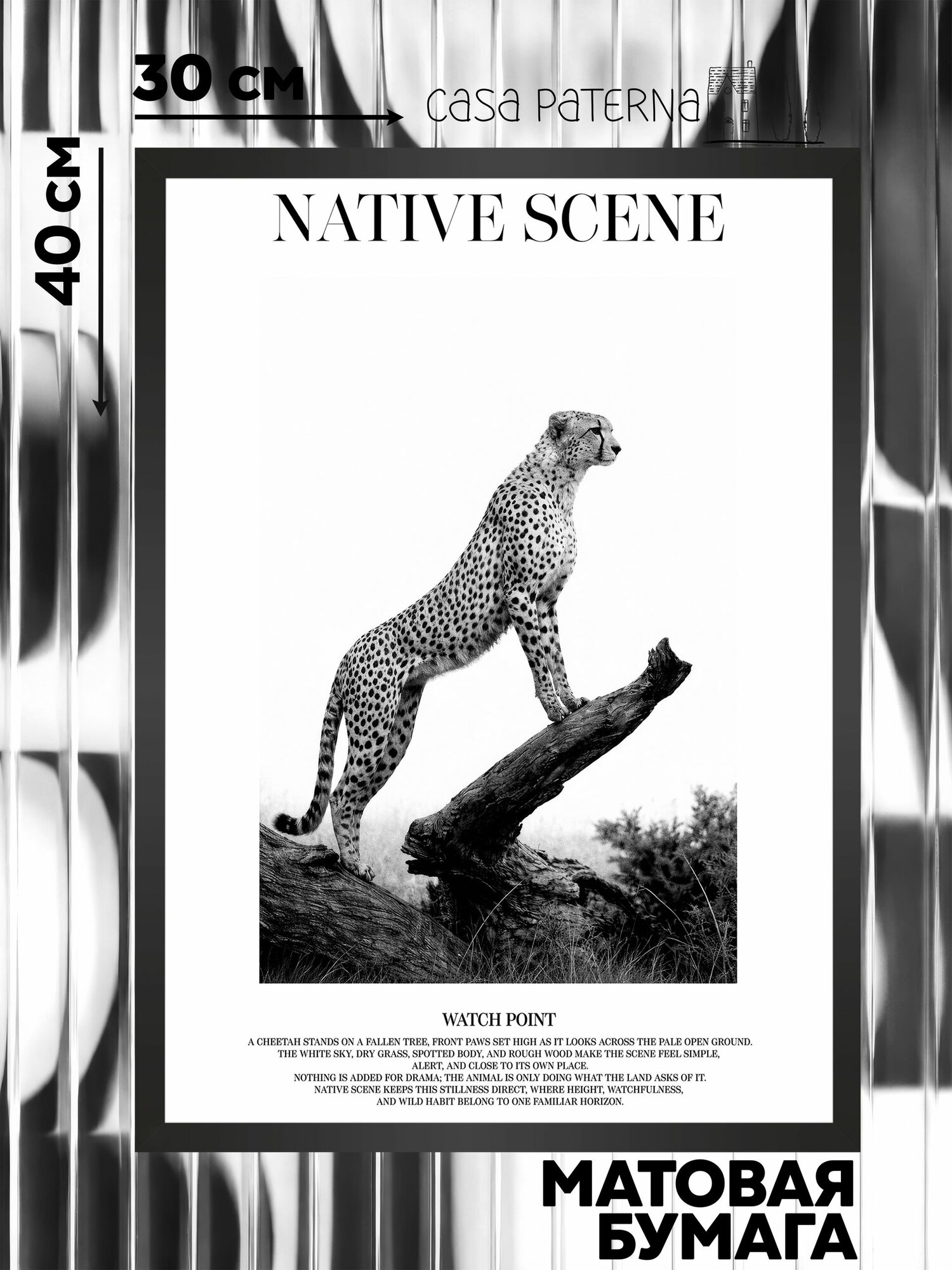Постер на стену 30х40 Native Scene #32, черно-белая фотография для интерьера, чб без рамки Casa Paterna