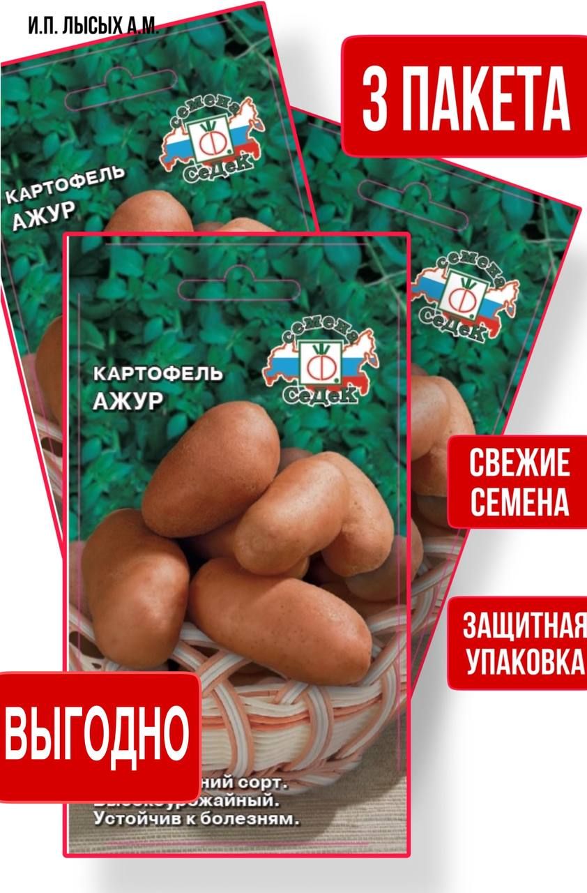 Семена Картофель Ажур 3шт