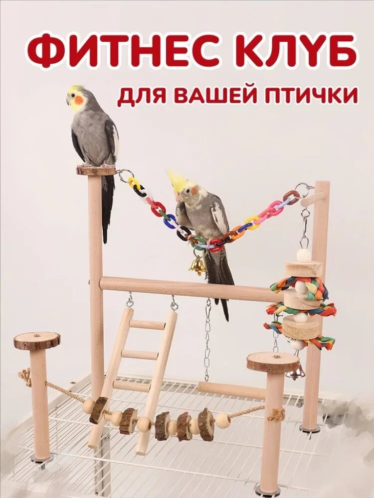 Жердочка — фото 1