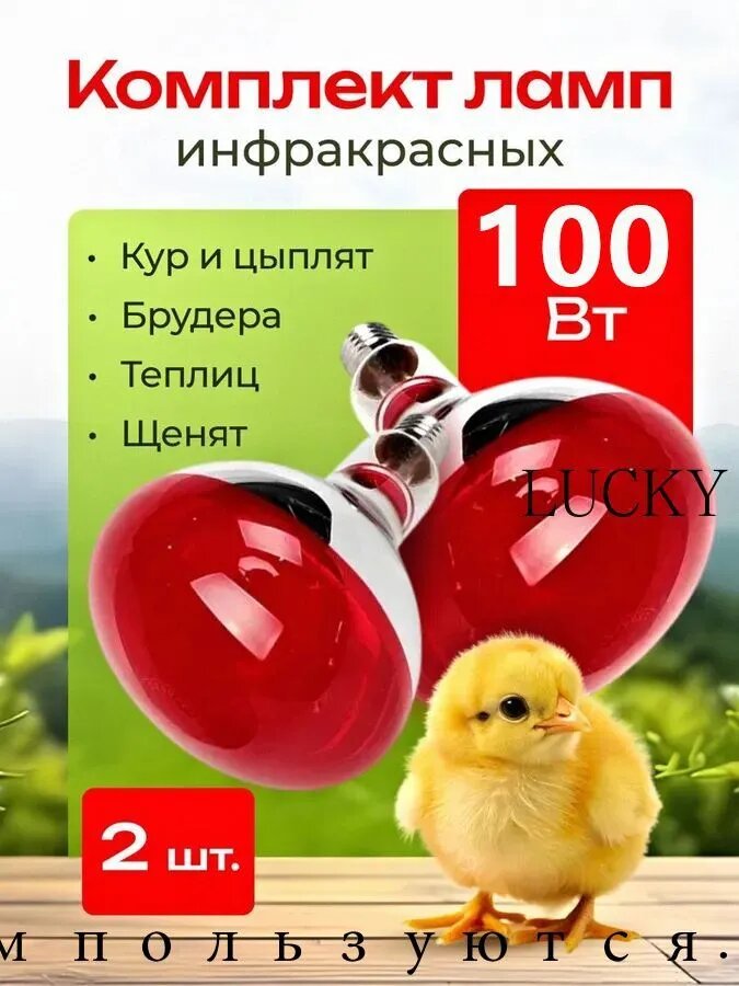 Лампа инфракрасная 100Вт Е27 - 2 шт, для обогрева кур, щенков, цыплят, свиней, курятника, брудера/ Лампочка галогенная для животных, растений и теплиц