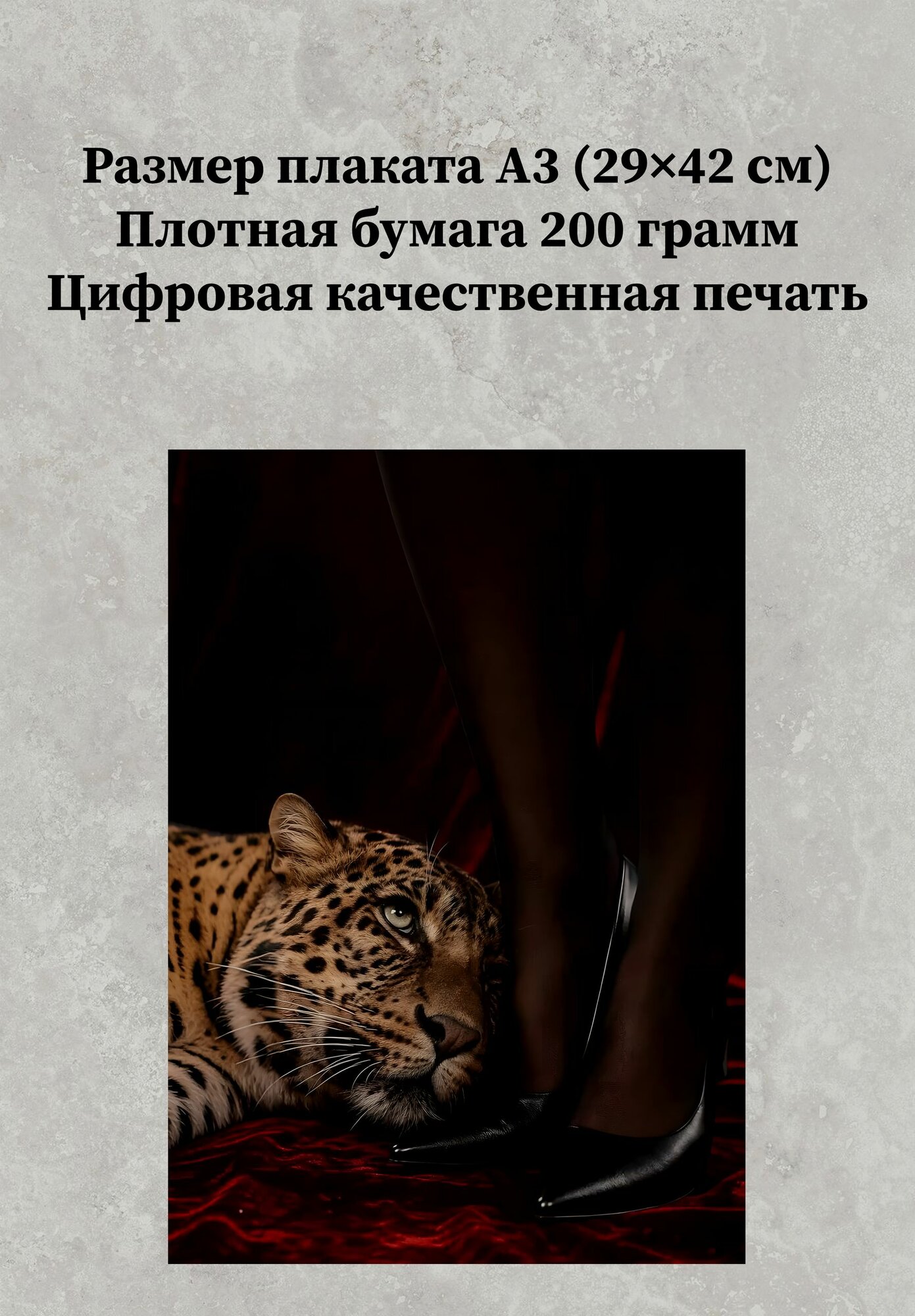 Постер/Плакат Леопард Роскошь (Leopard Luxury) — фото 1