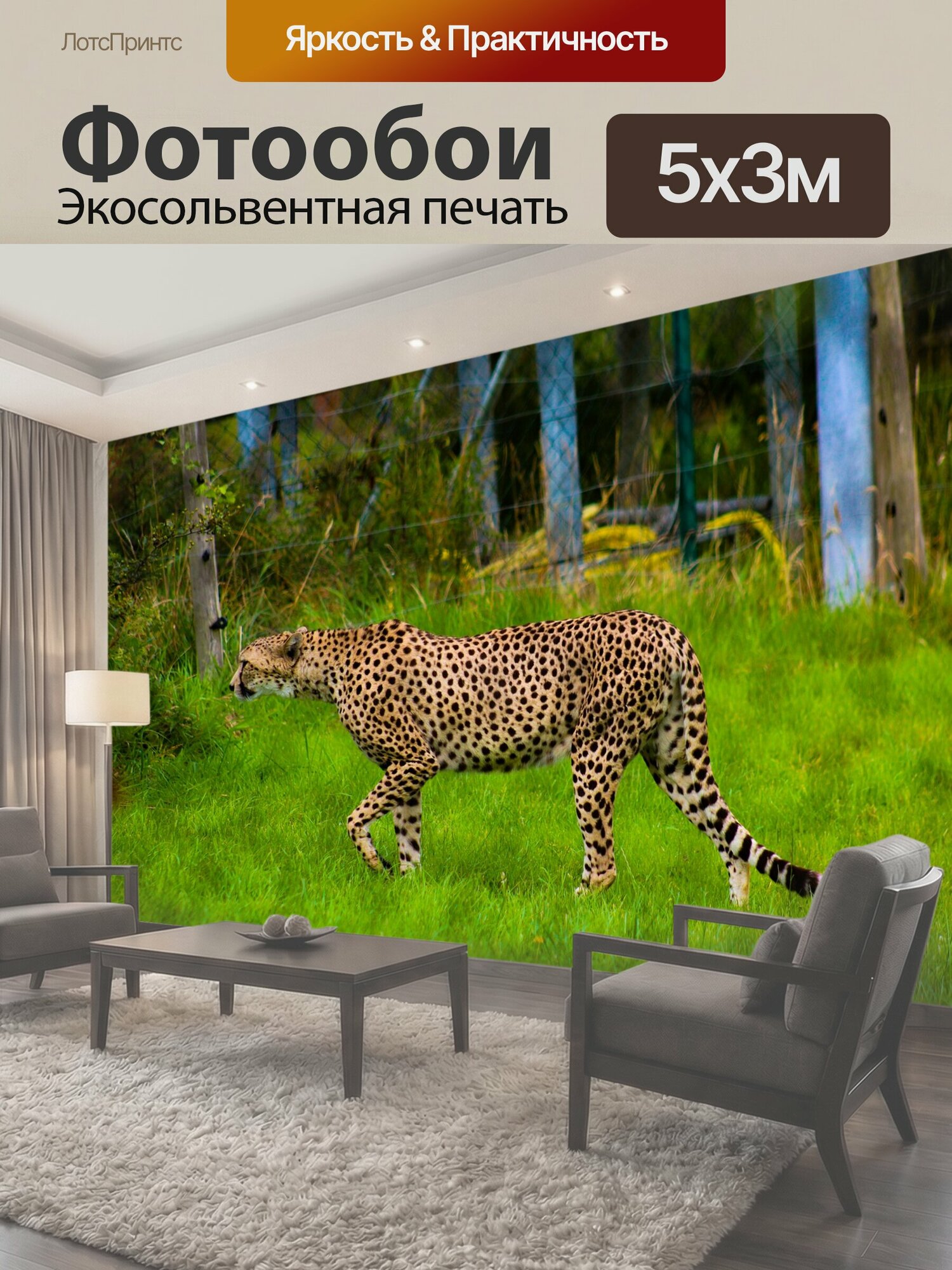 Фотообои "Гепард, животное, зоопарк" 500x300 см. экосольвентная печать