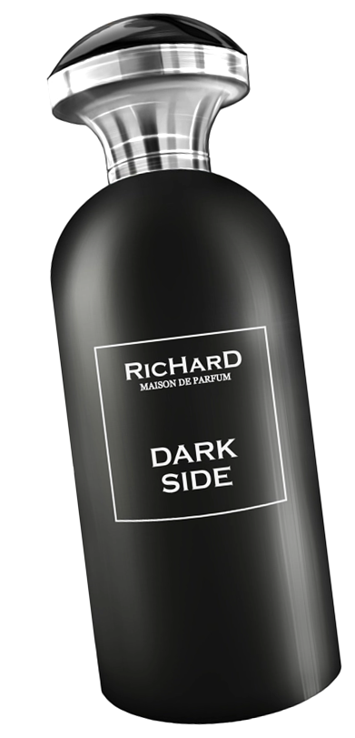 Духи Ричард Дарк Сайд 100 мл для мужчин и женщин - Richard Dark Side Темная Сторона
