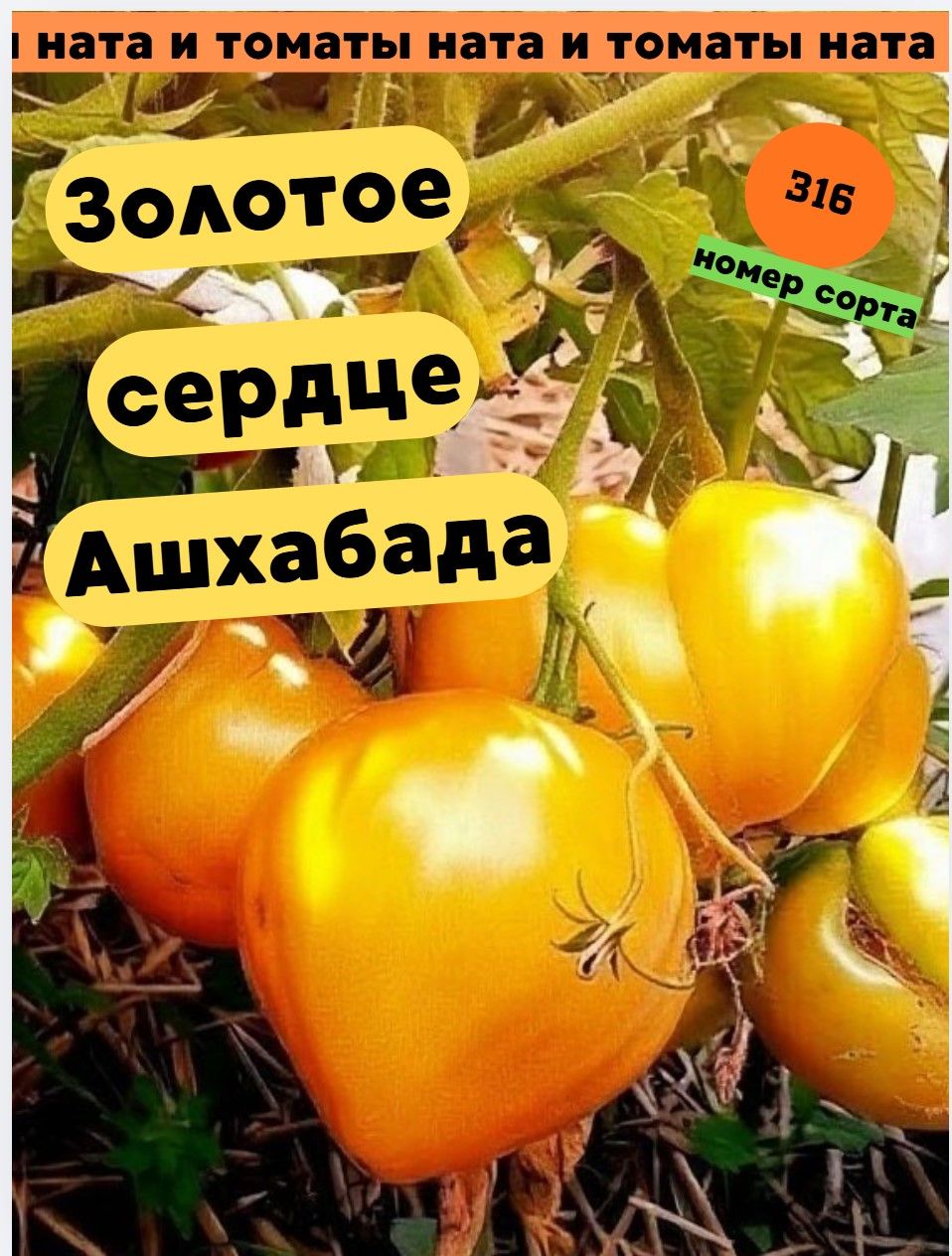 Коллекционные семена томата Золотое сердце Ашхабада 10 шт