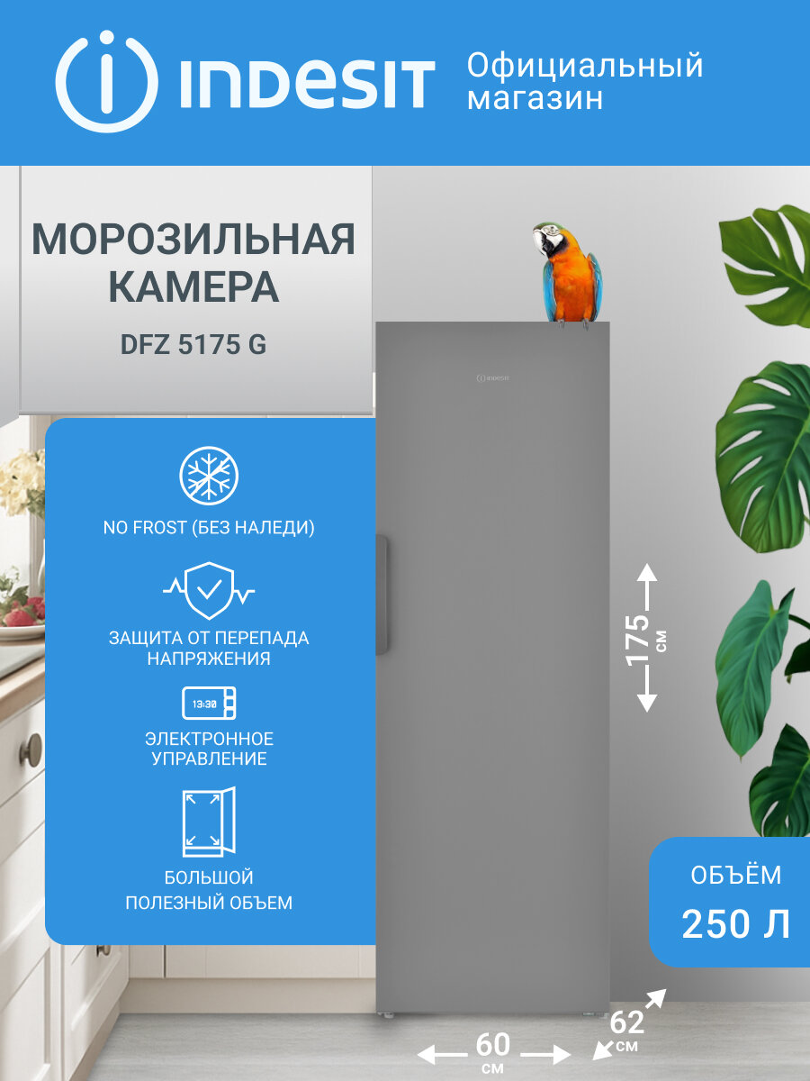 Морозильная камера Indesit DFZ 5175 G, No Frost, 250 л, серебристый, 60x62x175 см