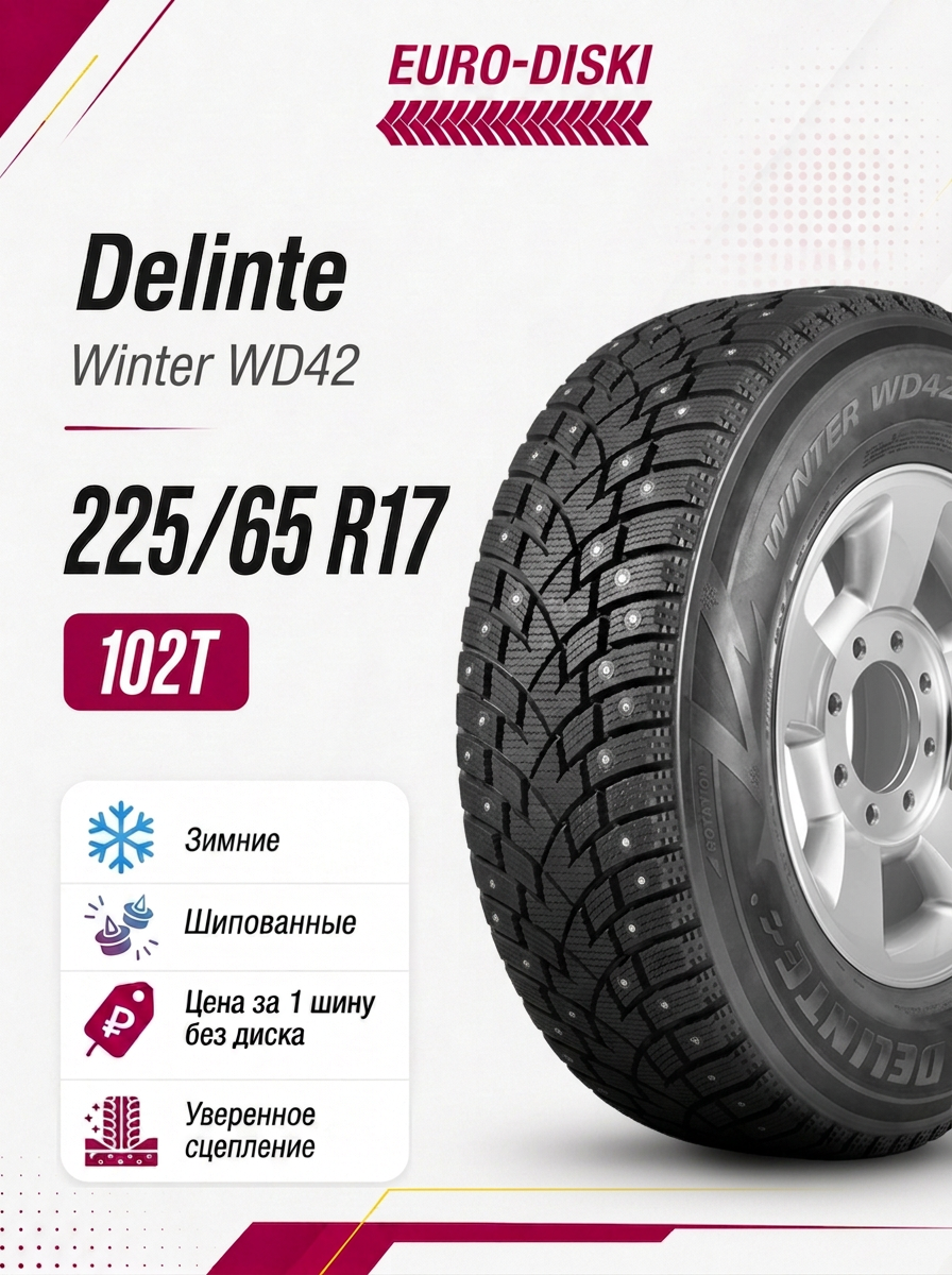 17/225/65 Delinte Winter WD42 102T Ш