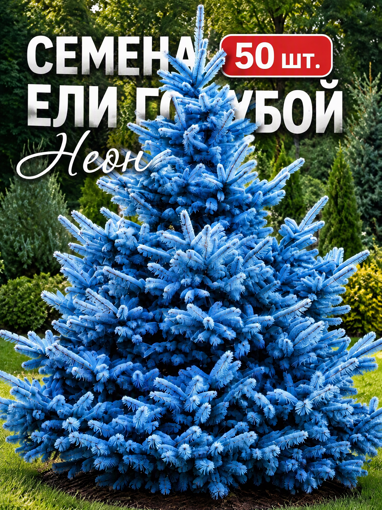 Ель Голубая Неон, Семена 50 шт, семена хвойных растений, семена деревьев