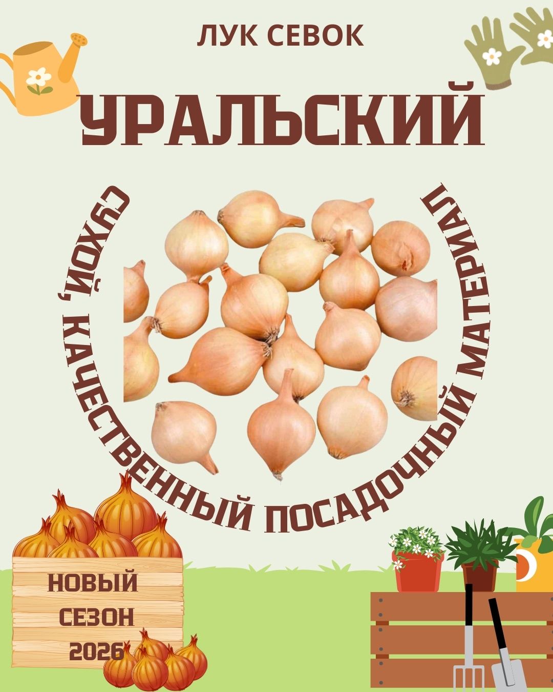 Лук севок Уральский, 1 кг