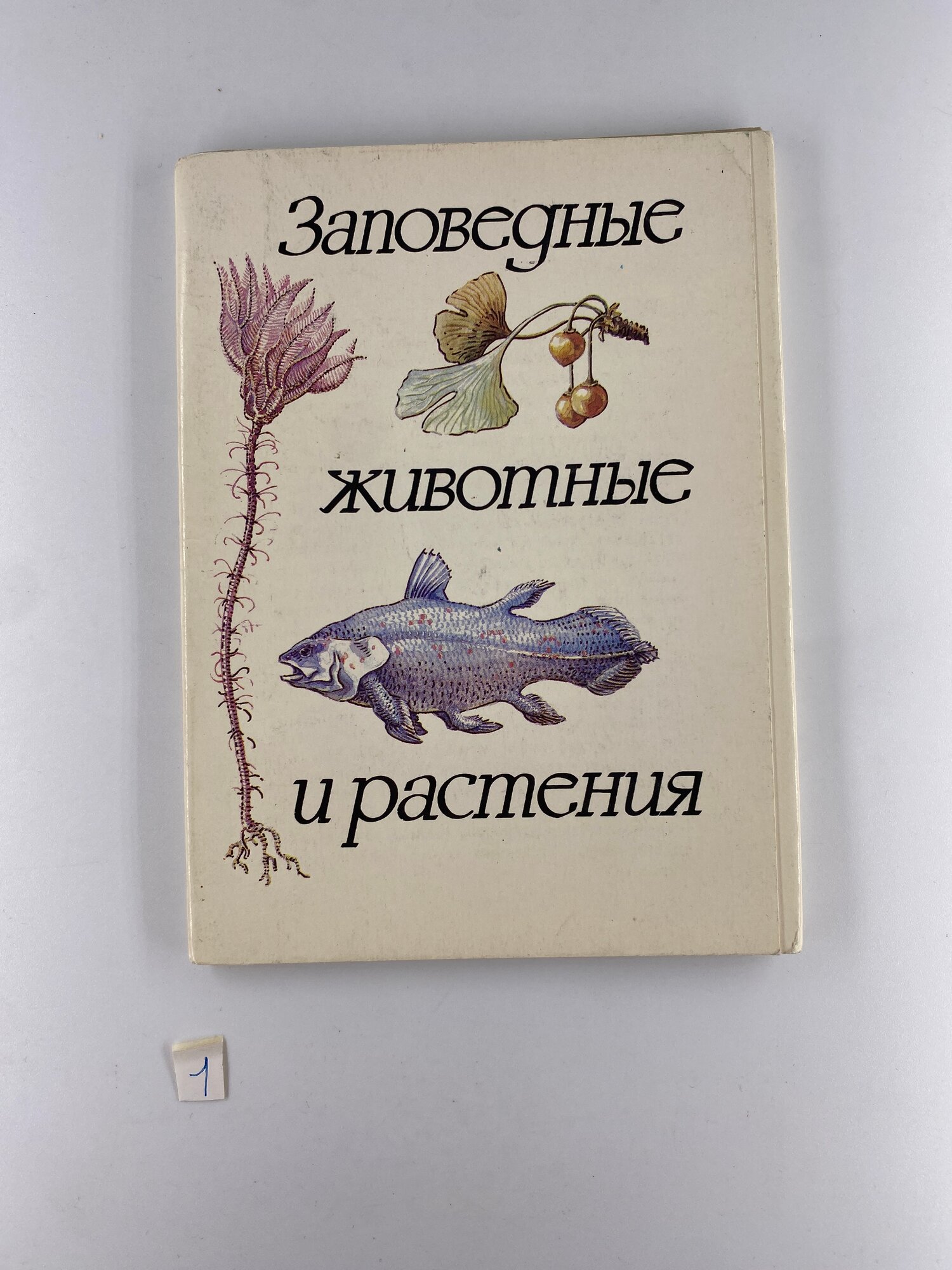 Набор коллекционных открыток СССР. Запов. животные и раст.