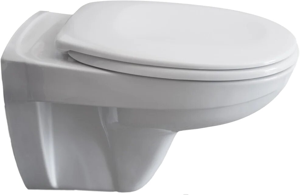 Унитаз подвесной Pestan Fluenta Basic 40006460 с микролифтом, без бачка, антивсплеск, фарфоровый, белый, глянцевый, овальный, сиденье для унитаза в комплекте