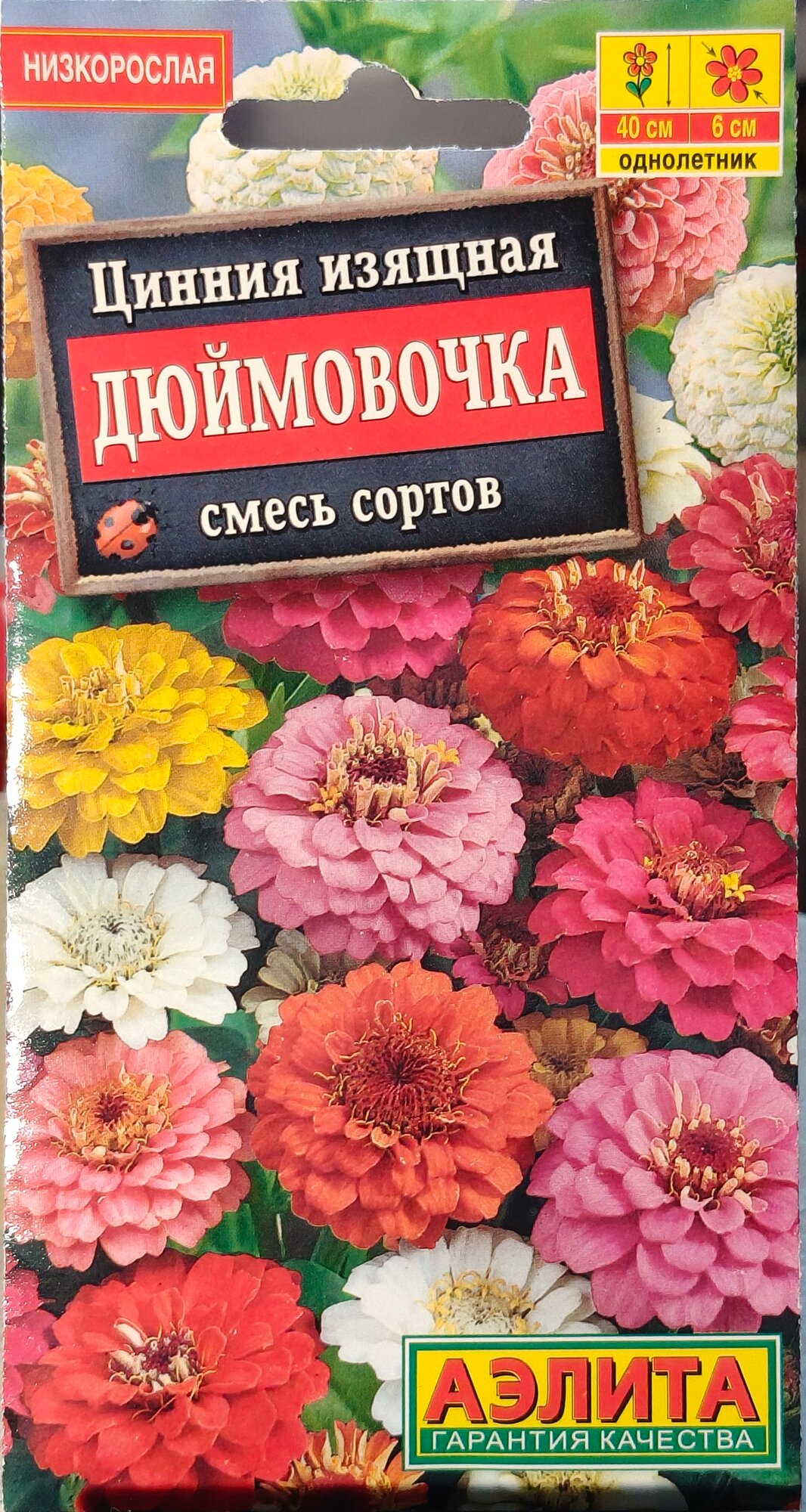 Циния Дюймовочка