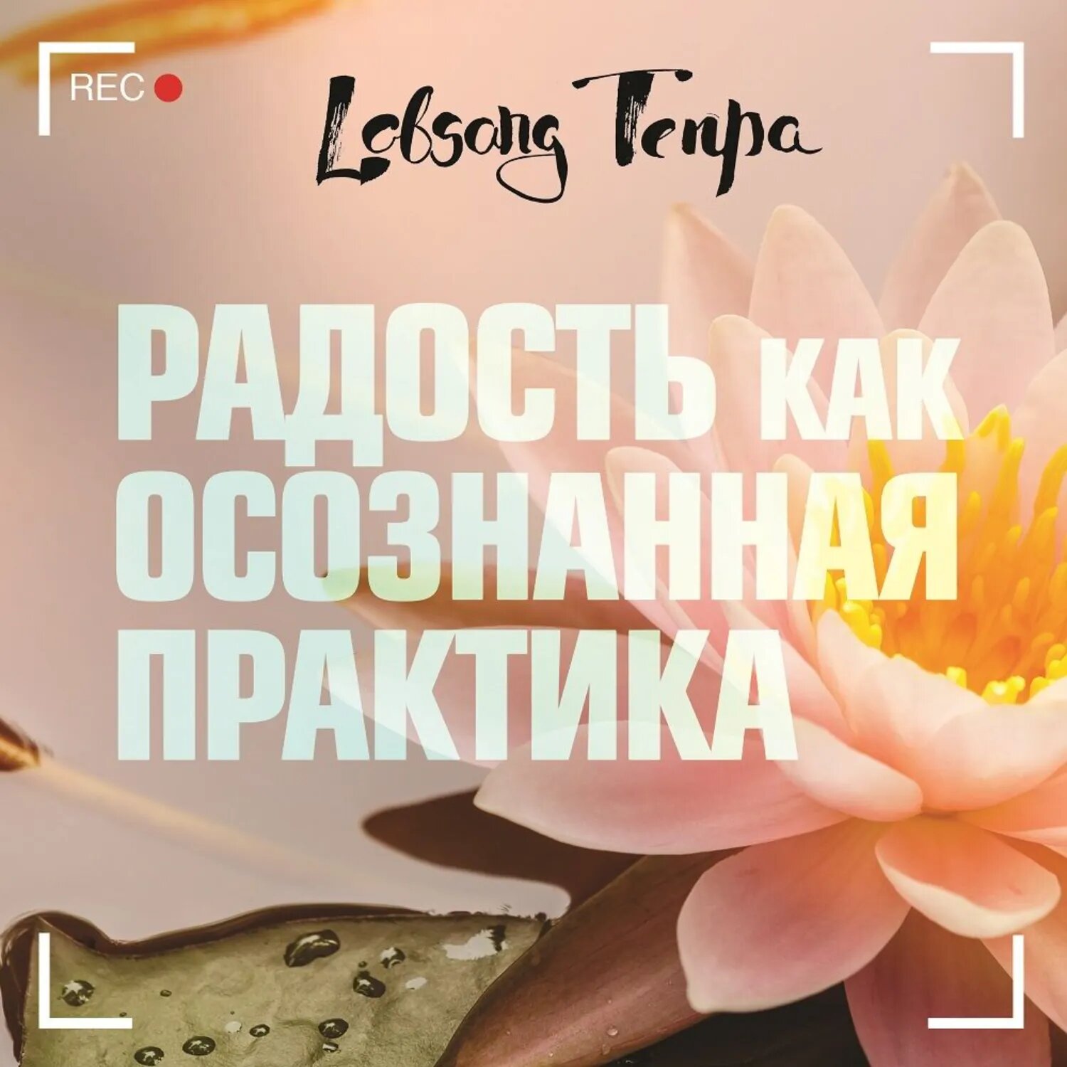Радость как осознанная практика [Аудиокнига]