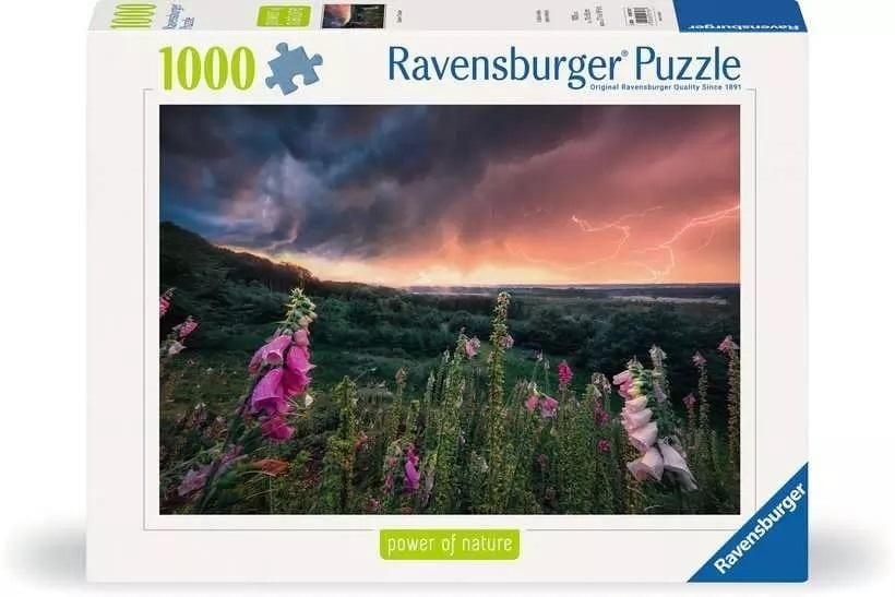 Пазл Ravensburger Надвигается буря, 1000 элементов